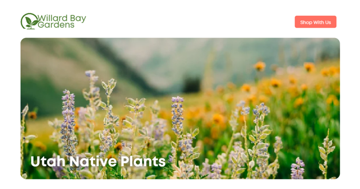 Utah Native Plants